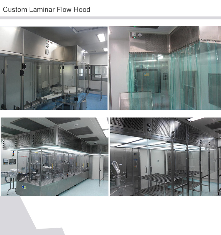 Clean room Laminar flow hood class 100 Pharmaceutical with PAO test