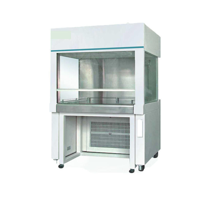 Vertical laminar flow detached clean bench